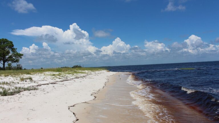 Discover Florida’s Best-Kept Secret: Alligator Point, St. Teresa Beach ...